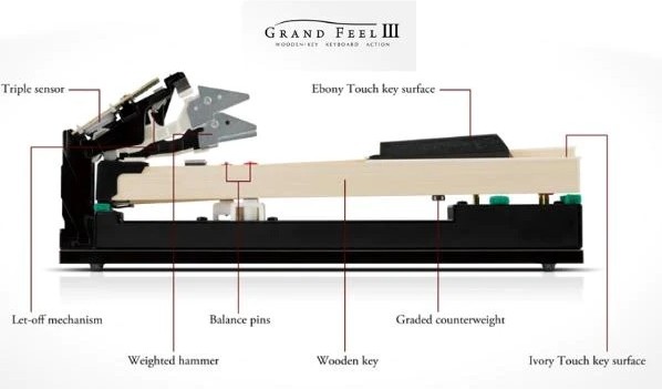 Digital Piano Key Actions - 2025 REPORT | Which Ones Are Best?